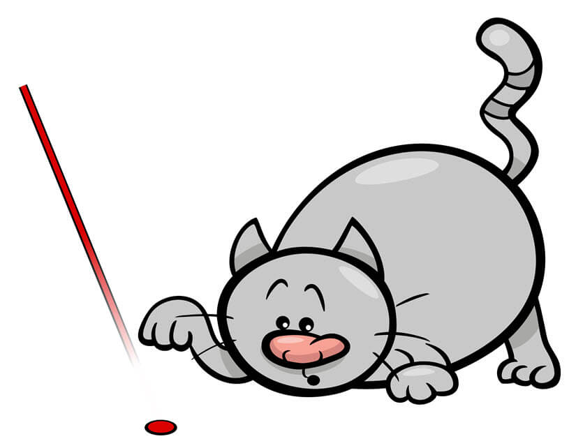 Laserpointer Katze - katzenwelt.net